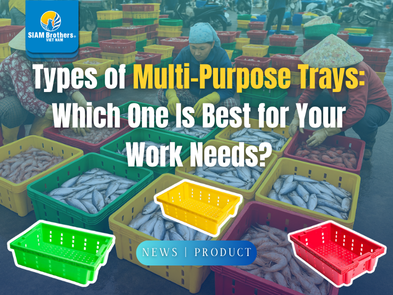 Types of Multi-Purpose Trays: Which One Is Best for Your Work Needs?