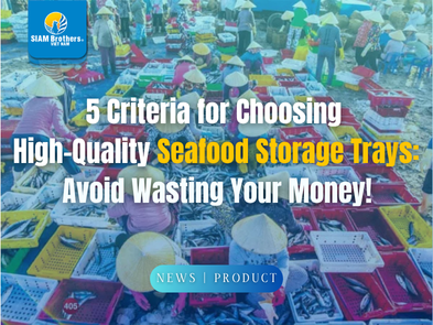 5 Criteria for Choosing High-Quality Seafood Storage Trays: Avoid ...