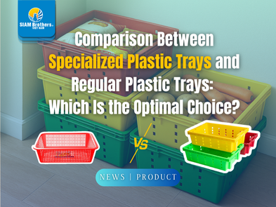 Comparison Between Specialized Plastic Trays and Regular Plastic Trays ...