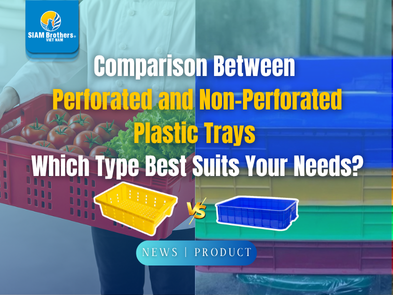 Comparison Between Perforated and Non-Perforated Plastic Trays Which ...