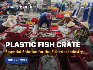 Plastic Fish Crate – Essential Solution for the Fisheries Industry