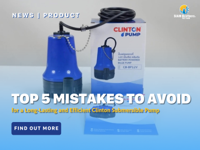 Top 5 Mistakes to Avoid for a Long-Lasting and Efficient Clinton ...